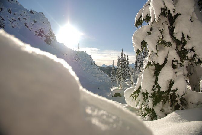 Snowshoe Tours - Who Will Love This Tour?