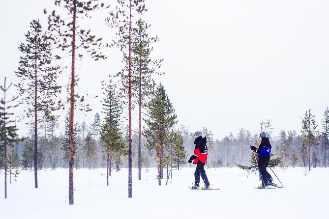 Snowshoe Trip in the Forest - Who Should Consider This Snowshoe Trip?