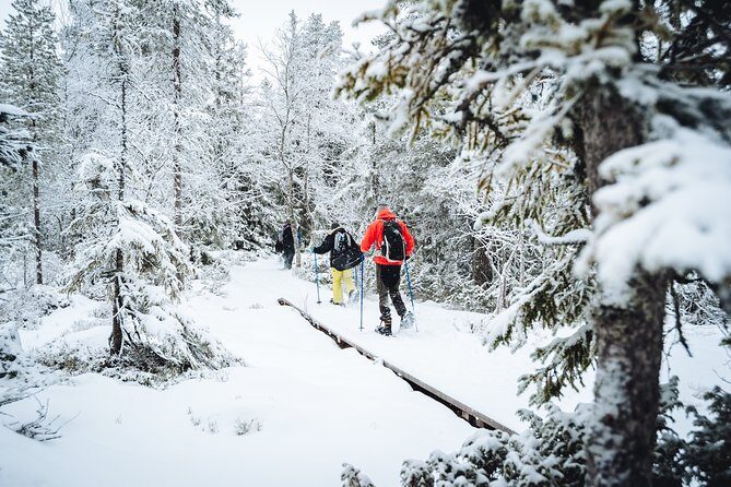 Snowshoe Winter Hike from Stockholm - Key Points