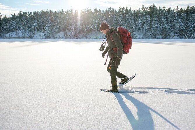 Snowshoe Winter Hike from Stockholm - Who Will Love This Tour?