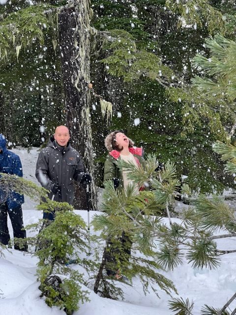 Snowshoeing At The Top Of The Sea To Sky Gondola - FAQ