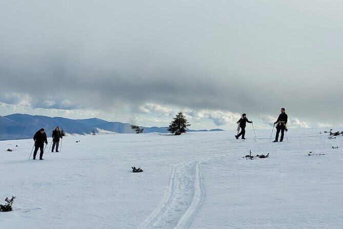 Snowshoeing Fun Tour from Cluj Napoca - The Price and Value