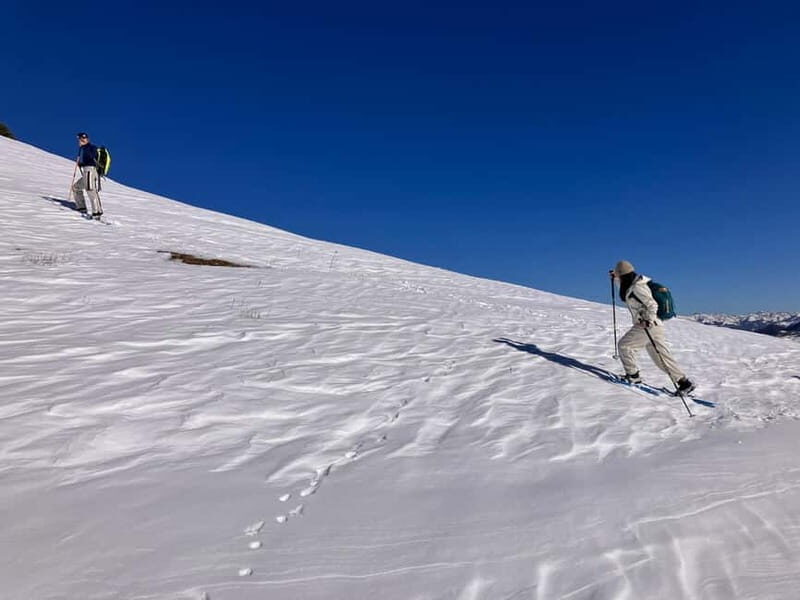 Snowshoeing in Bakuriani, Caucasus Mountains - An Authentic Snowshoeing Experience in Georgia’s Caucasus