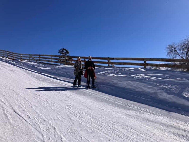 Snowshoeing in Bakuriani, Caucasus Mountains - The Sum Up