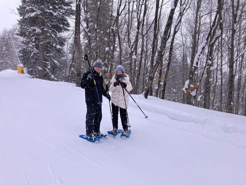Snowshoeing in Bakuriani, Caucasus Mountains - Frequently Asked Questions