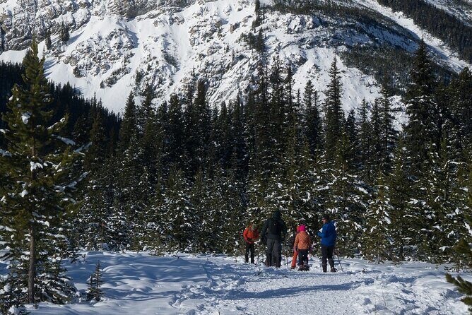 Snowshoeing in Kananaskis - The Sum Up