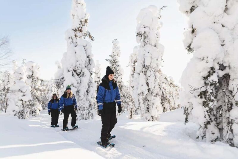 Snowshoeing in the Arctic Wilderness - Who Should Consider This Tour?