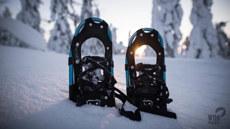Snowshoeing in the Arctic Wilderness - Final Thoughts