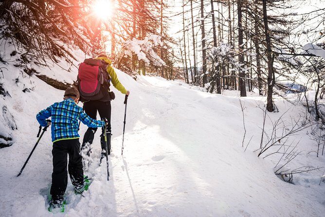 Snowshoeing Tour in Jacques-Cartier National Park - Exploring the Details: What to Expect