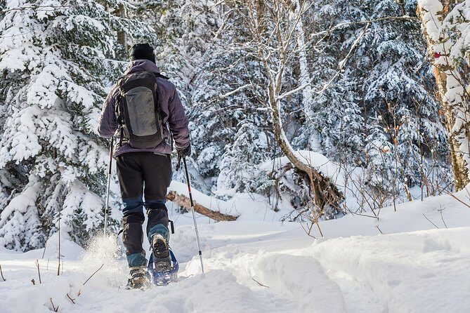 Snowshoeing Tour in Jacques-Cartier National Park - Final Thoughts