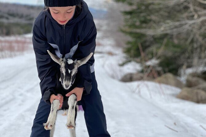 Snowshoeing with mountain goats Private activity - Who Is This Tour Perfect For?