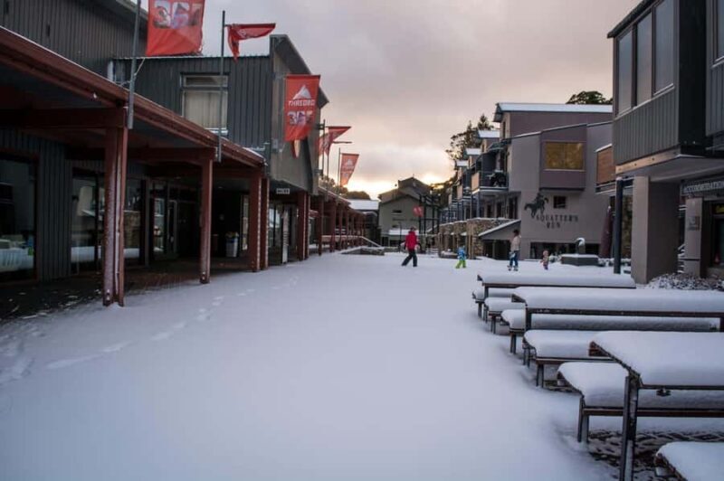 Snowy Mountains: 1-Day Snow Adventure at Thredbo From Sydney - Who Will Love This Tour?