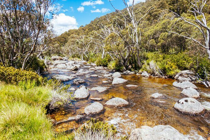 Snowy Mountains NSW Private Tour 3 Days - Pick up & Drop off - Key Points