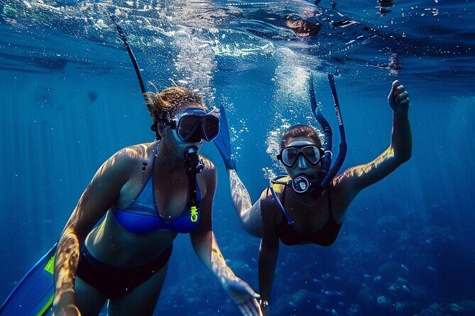 Snuba Cabo San Lucas Dive Without a Tank - Real Experiences and Insights from Reviews