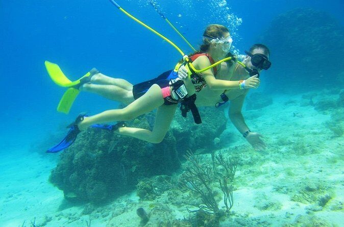 SNUBA Cozumel Underwater Adventure inside Chankanaab National Park - Practical Tips for Participants