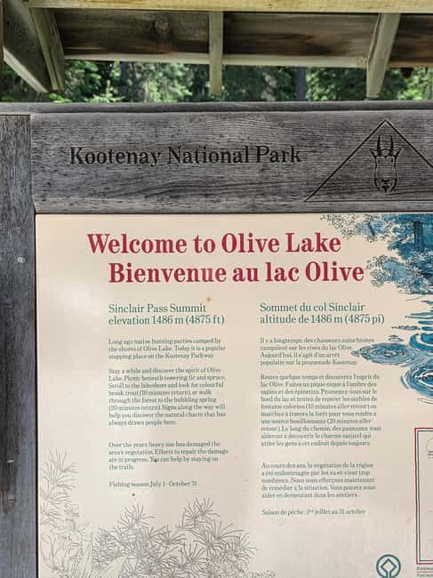 Soak & Explore: Radium Hot Springs and Kootenay Park Tour - Final Thoughts