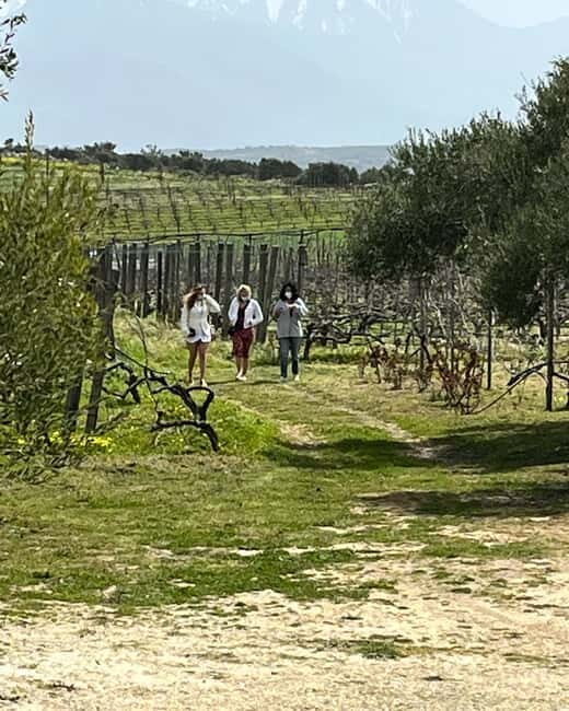 Soap Workshop, Olive Oil, Lyrarakis Winery and Lunch at Peza - Who Should Book This Experience?  