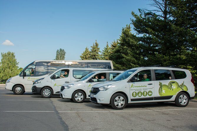 Sofia Airport to Bansko Shared Transfer (Max 90 Min Wait) - The Transfer Experience: What to Expect