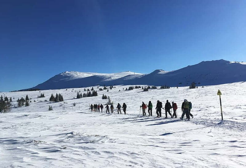 Sofia: Black Peak-Vitosha Mountain Snowshoeing Day Trip - Sofia: Black Peak-Vitosha Mountain Snowshoeing Day Trip – An In-Depth Look