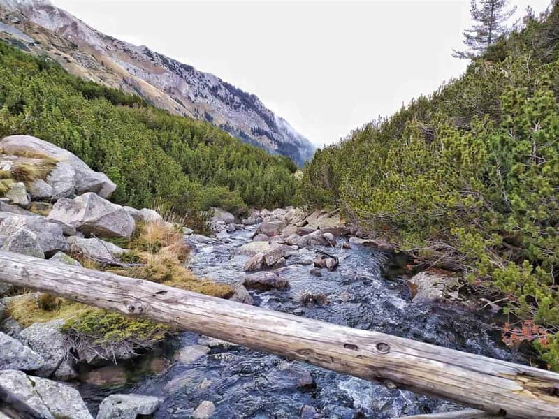 Sofia: Pirin National Park Hike & Bansko Visit - Who Is This Tour Perfect For?