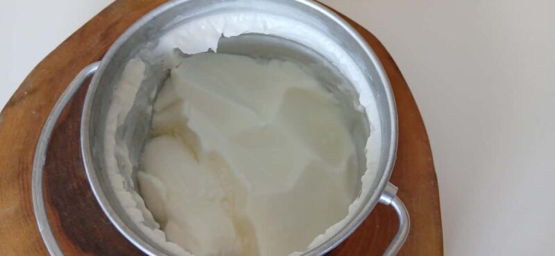 Sofia: Taste Bulgarian Yogurt Kiselo Mlyako in a Family Home - A Deep Dive into the Experience