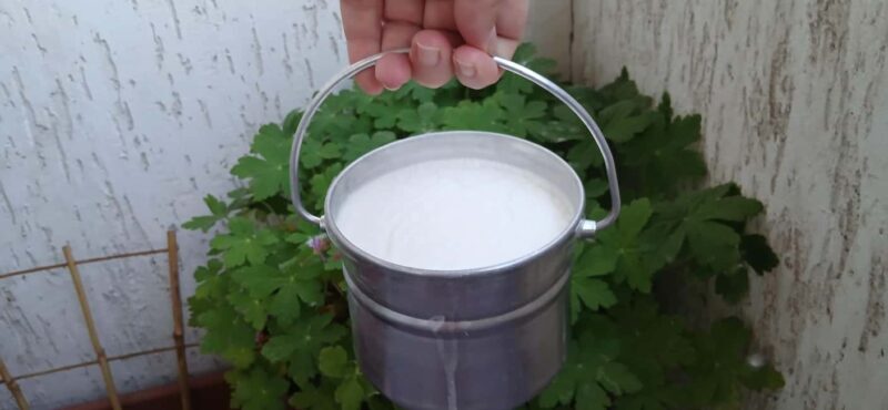 Sofia: Taste Bulgarian Yogurt Kiselo Mlyako in a Family Home - The Sum Up