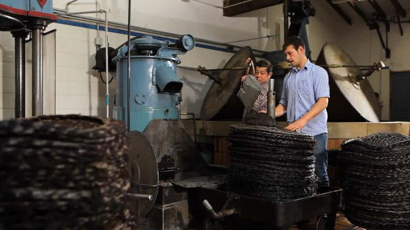 Sóller: Olive Oil Guided Tour and Tasting at Can Det Estate - Final Thoughts