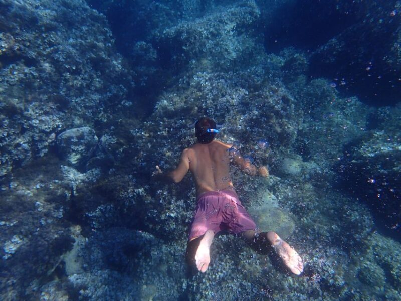 Soller: Sa Calobra & Cala Tuent Speedboat Tour - An In-Depth Look at the Soller Speedboat Experience  