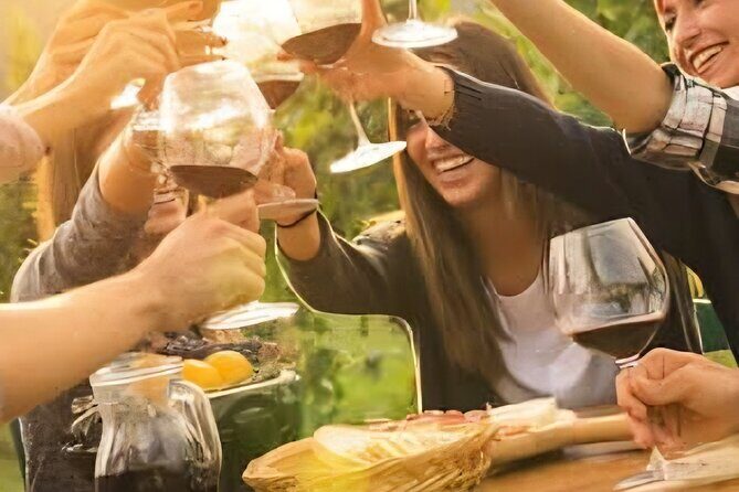 Solvang Ventura Wine Tour by Car - Practical Tips for Travelers