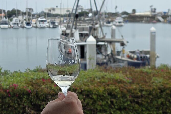 Solvang Ventura Wine Tour by Car - The Sum Up: Who’s This Tour For?