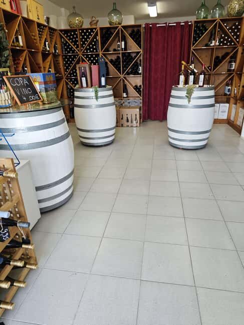 Son Cavaller - Tasting 10 wines from Mallorca - Vinothek Cala Mandia - Who Should Book This Tour?