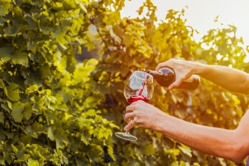 Sonoma County: Tasting Pass (Choose 1, 2, or 90 Days) - An Insider Look at the Sonoma County Tasting Pass