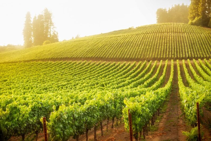 Sonoma County: Tasting Pass (Choose 1, 2, or 90 Days) - FAQ