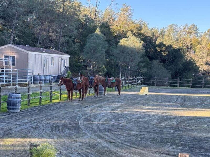Sonoma County: Wine Country Horseback Riding Adventure - An In-Depth Look at the Sonoma County Horseback Riding Tour