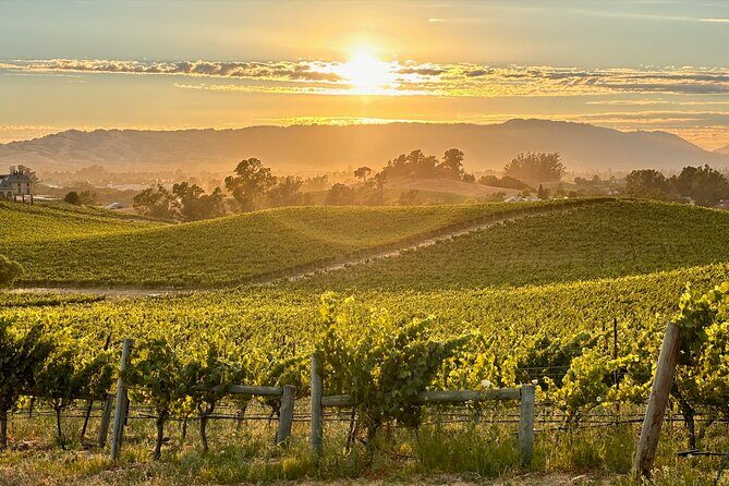 Sonoma Private 6-Hour Wine Adventure - Final Takeaway