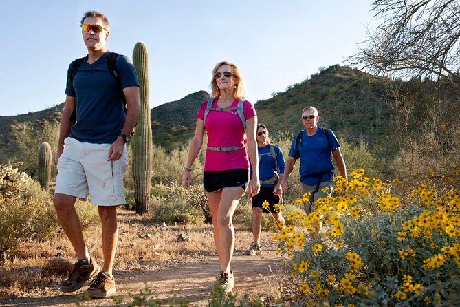 Sonoran Desert Guided Hike - What to Expect on the Sonoran Desert Guided Hike