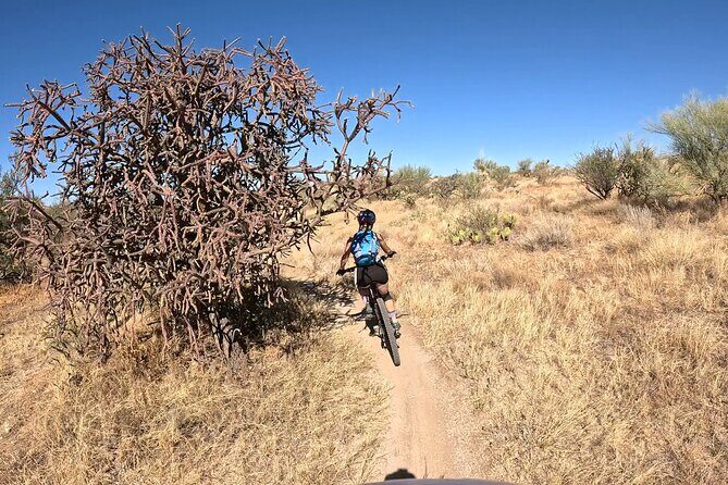 Sonoran Desert Guided Mountain Bike Adventure - Why Choose the Sonoran Desert Guided Mountain Bike Adventure?