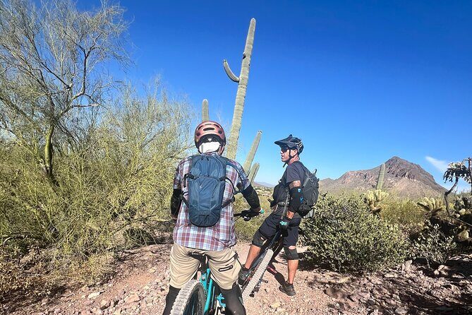 Sonoran Desert Guided Mountain Bike Adventure - Why This Tour Might Be Perfect for You