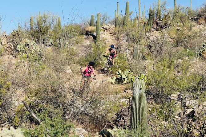 Sonoran Desert Guided Mountain Bike Adventure - FAQ