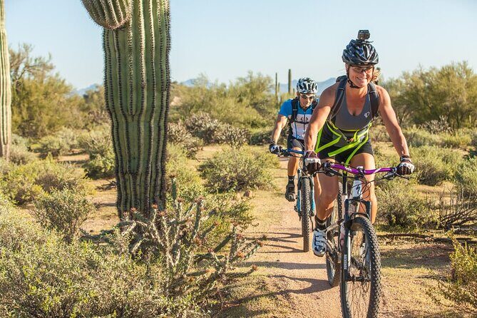 Sonoran Desert Guided Mountain Bike Tour - Exploring the Sonoran Desert on a Mountain Bike Tour