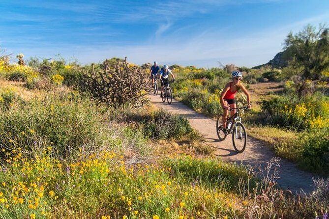 Sonoran Desert Guided Mountain Bike Tour - Key Points