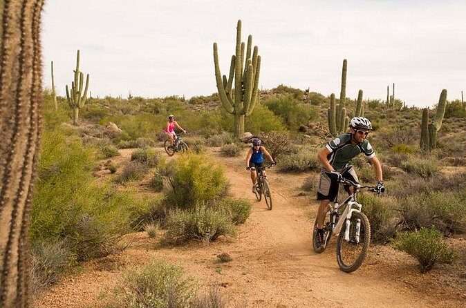 Sonoran Desert Guided Mountain Bike Tour - Who Should Consider This Tour?
