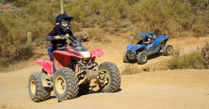 Sonoran Desert: Guided UTV or ATV Desert Tour - Discovering the Sonoran Desert: What You Can Expect