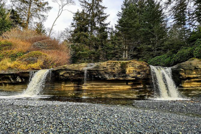 Sooke to Port Renfrew: Wild Pacific Adventure - An In-Depth Look at the Sooke to Port Renfrew Tour