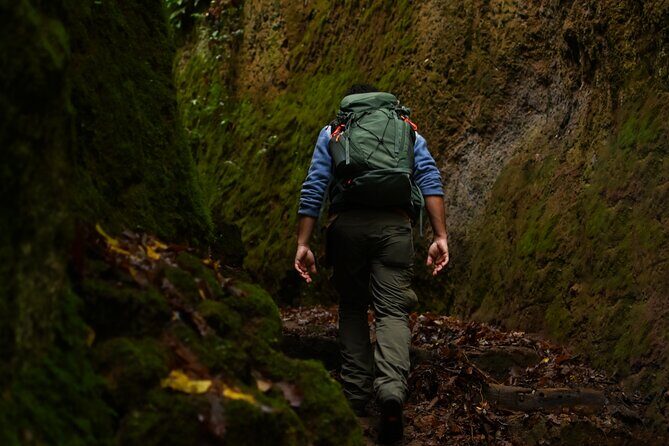 Sorano: its wonders, The Vie Cave and wine cellars - An In-Depth Look at the Sorano Tour