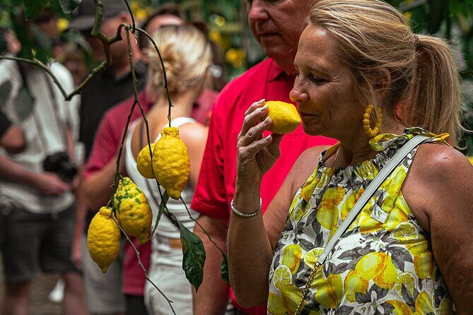 Sorrento Ape Tour, Lemon Garden, Mozzarella Show & Pizza Class - Detailed Breakdown of the Experience