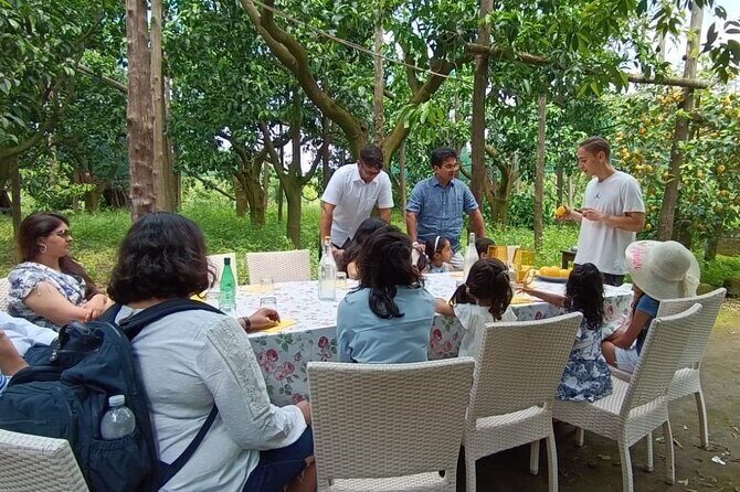 Sorrento: Authentic Lemon Experience at a Farm with Tastings - FAQ
