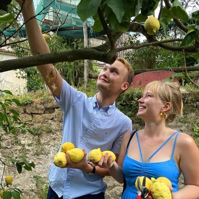 Sorrento: Authentic Lemon Experience in a Farm with Tastings - The Sum Up