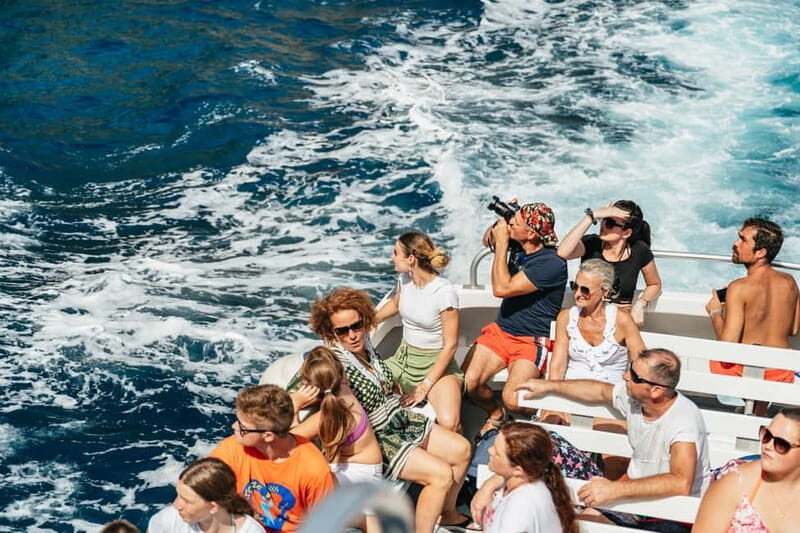 Sorrento: Coast and Capri Boat Trip with Limoncello Tasting - FAQ