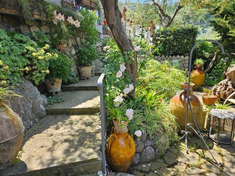 Sorrento Coast E-Bike Tour and Visit at Vinegar Cellar - Key Points